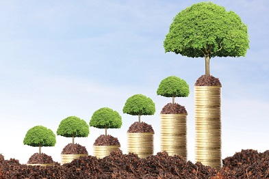 L3P Courses - Profit - Fiscal Responsibility, Money Mngt - MN